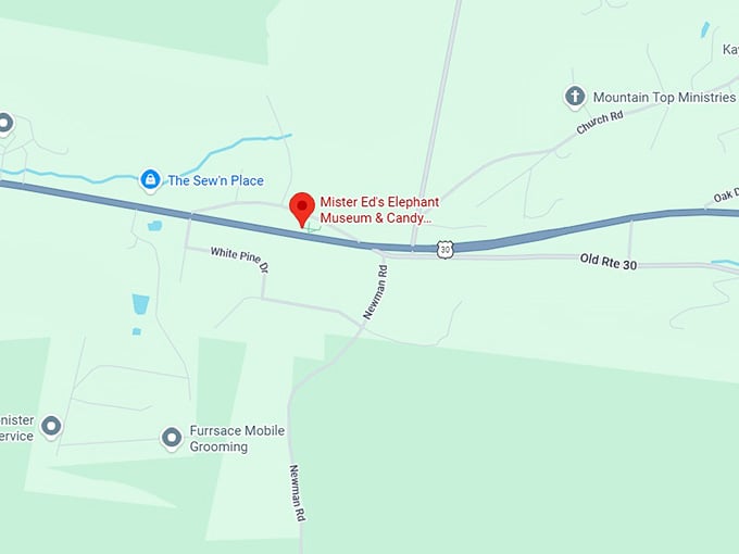 16. mister ed's elephant museum & candy emporium map