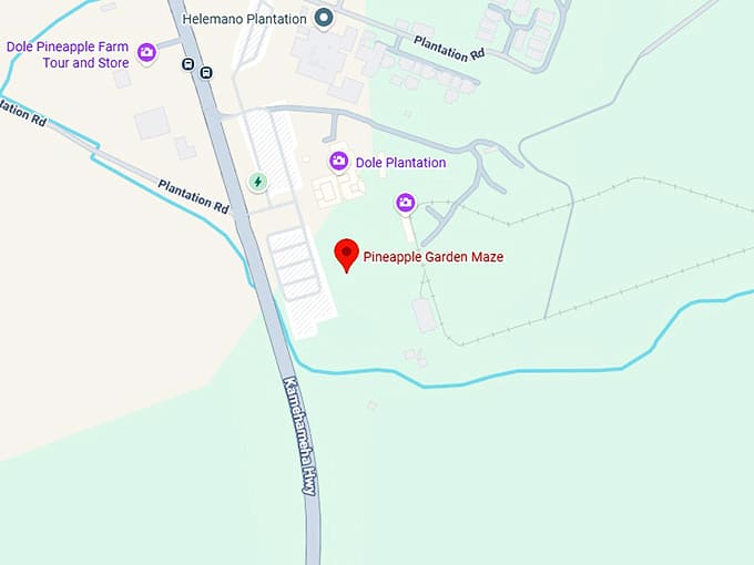 pineapple garden maze map