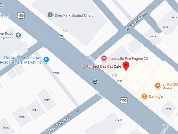 16. purrfect day cat cafe's map