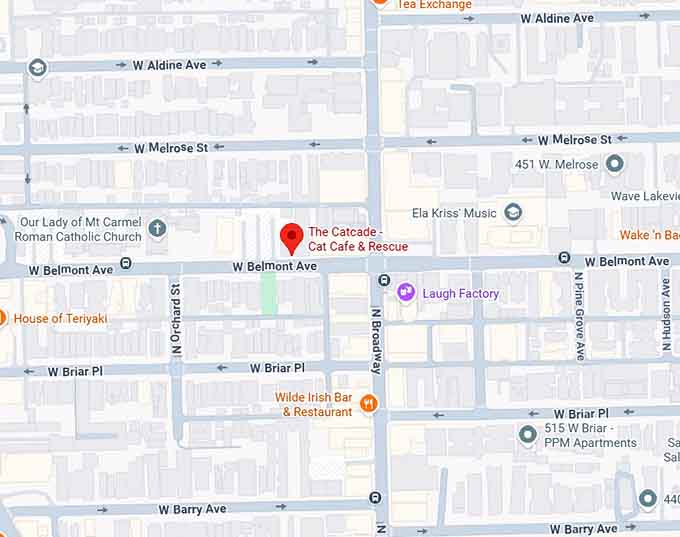 16. the catcade cat cafe & rescue map