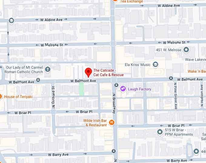 16. the catcade cat cafe & rescue map