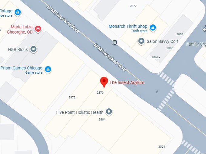 16. the insect asylum map