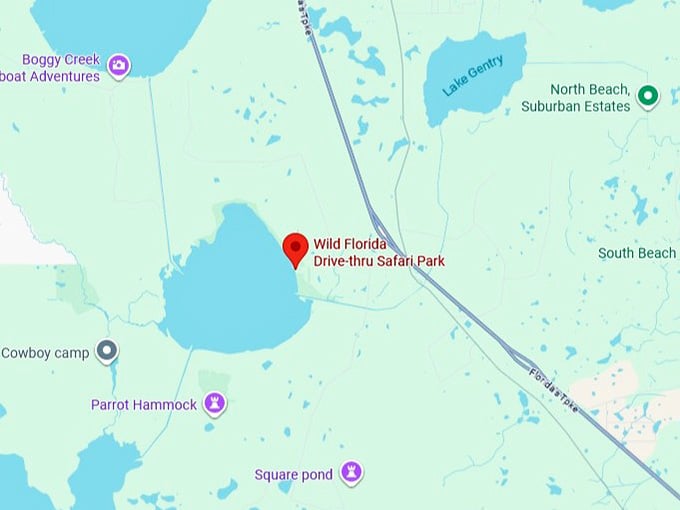 16. wild florida drive thru safari park map