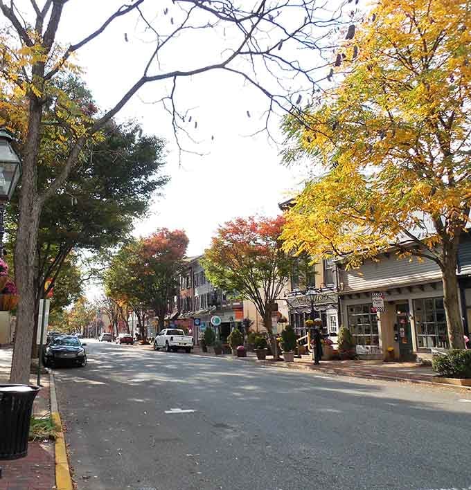 Autumn paints Bordentown's main street in gold and crimson, turning brick sidewalks into a living postcard.