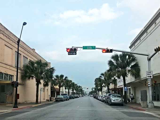 Palm trees line the streets like nature's own welcome committee in this charming downtown scene.