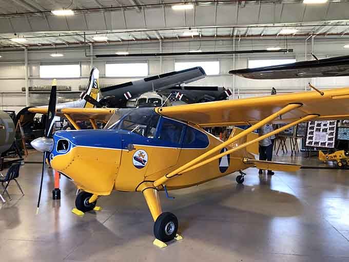 That cheerful yellow bird looks ready to buzz the neighborhood like a vintage crop duster on coffee.