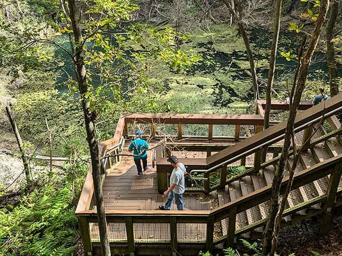 Descending into this limestone sinkhole feels like entering Earth's secret basement, complete with ferns and trickling waterfalls.