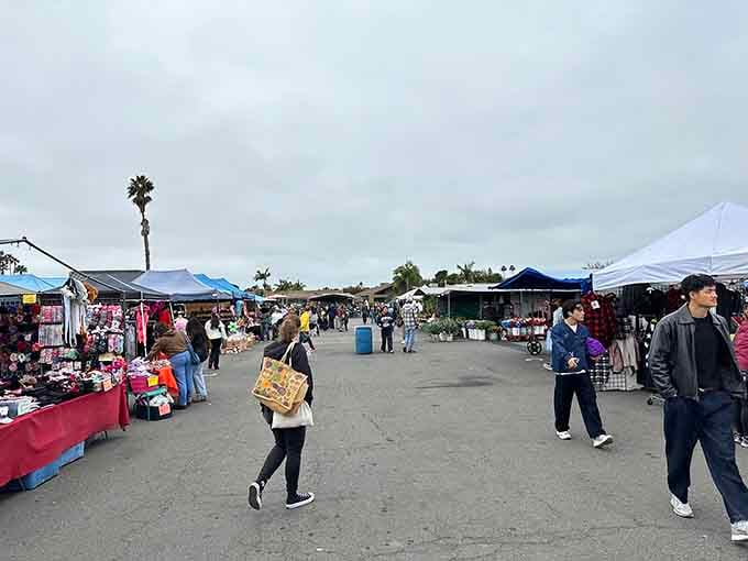 Wide open aisles stretch endlessly under colorful tents where treasure hunters stroll with their weekend finds.