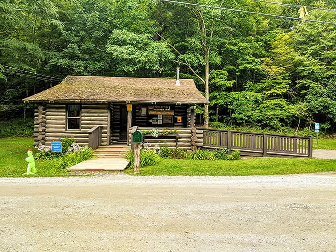 This charming log cabin welcomes visitors like an old friend, surrounded by emerald green forest that whispers peace.