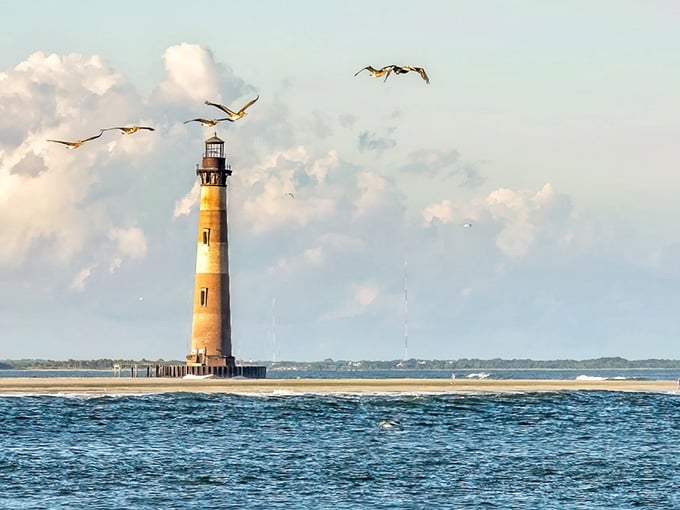 That lighthouse standing in the waves with pelicans circling overhead looks like a postcard come to life.
