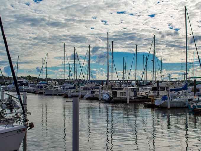 Sailboats bob peacefully in New Bern's marina, their masts reaching skyward like a forest of dreams.