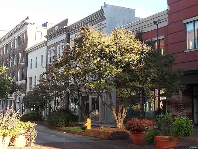 Golden hour light bathes downtown streets where historic brick buildings meet modern planters in perfect harmony.