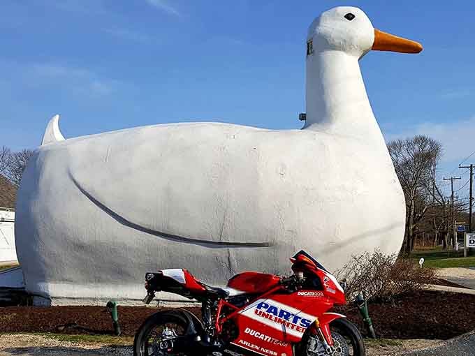 When a building shaped like a giant duck meets a sleek motorcycle, roadside Americana reaches peak perfection.