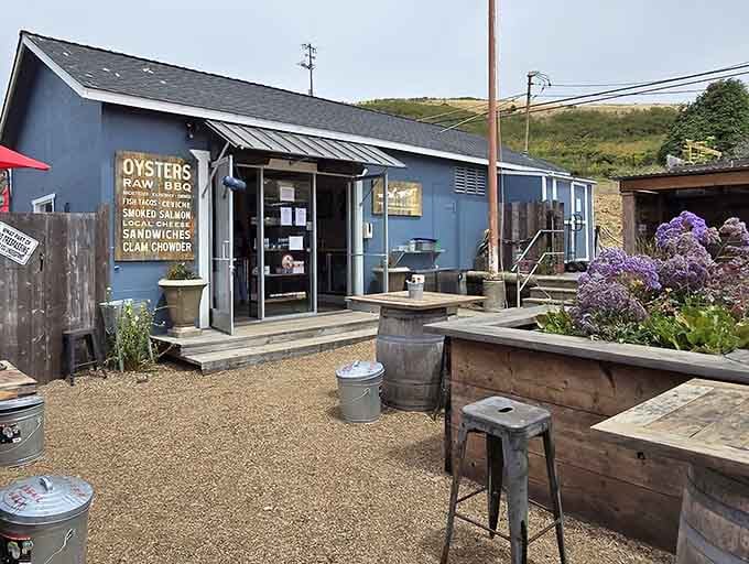 The blue shack of seafood dreams! The Marshall Store's humble exterior hides oyster treasures that would make Neptune himself swim over for lunch.