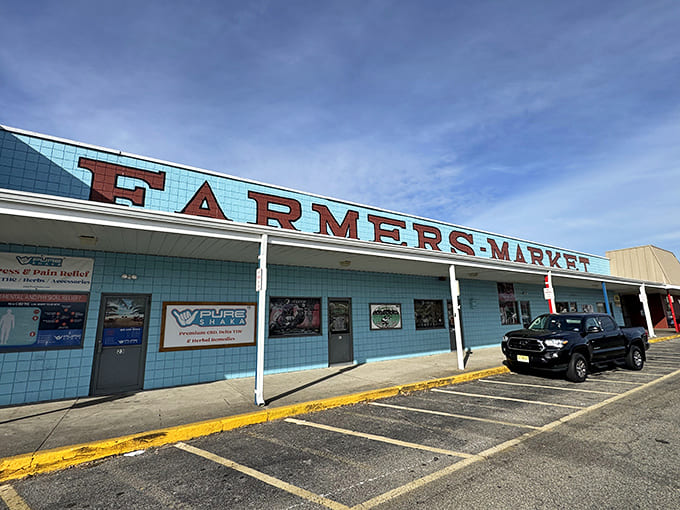 That retro turquoise facade practically sings "come find something wonderful" louder than any modern shopping mall ever could.