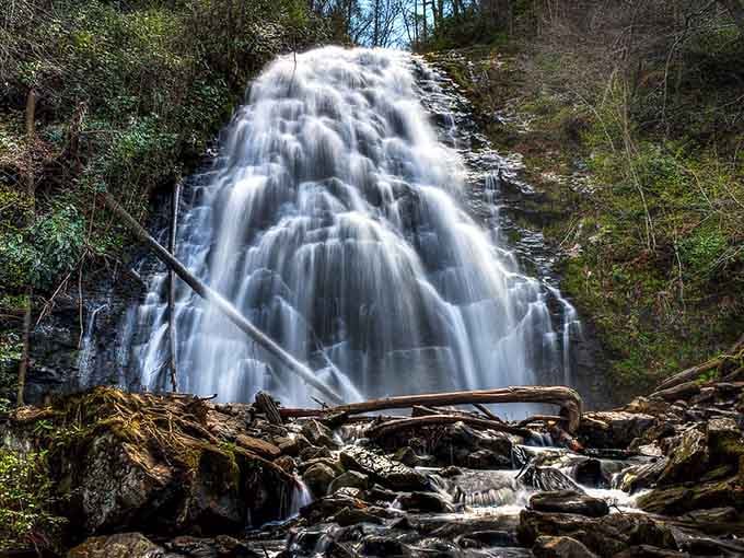 Fallen logs frame this spectacular cascade, proving that even nature's debris can create the perfect photo composition.