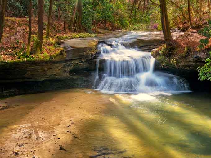 Golden afternoon light dances across the pool, turning ordinary water into liquid sunshine worth the hike.