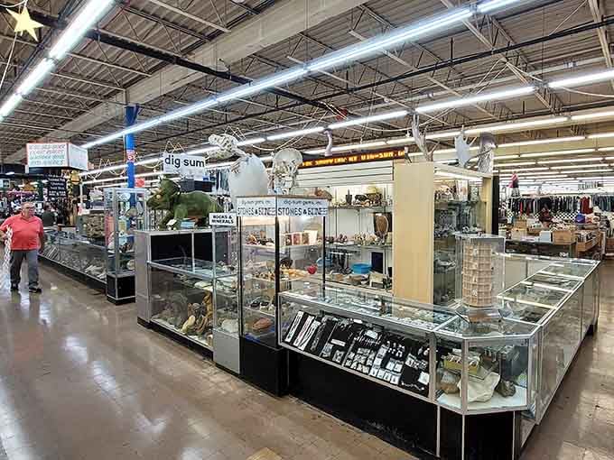 Inside, gleaming glass cases showcase vintage collectibles like a museum you can actually shop in.