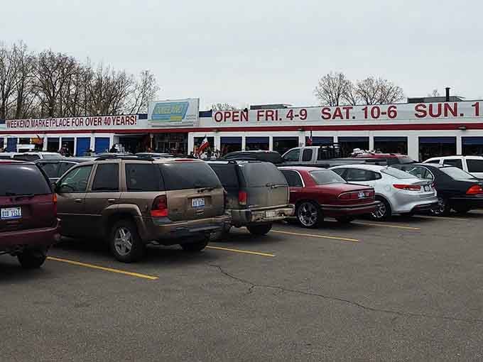 Weekend warriors, take note! Dixieland's packed parking lot signals serious bargain hunting ahead. The early bird catches the vintage vinyl.