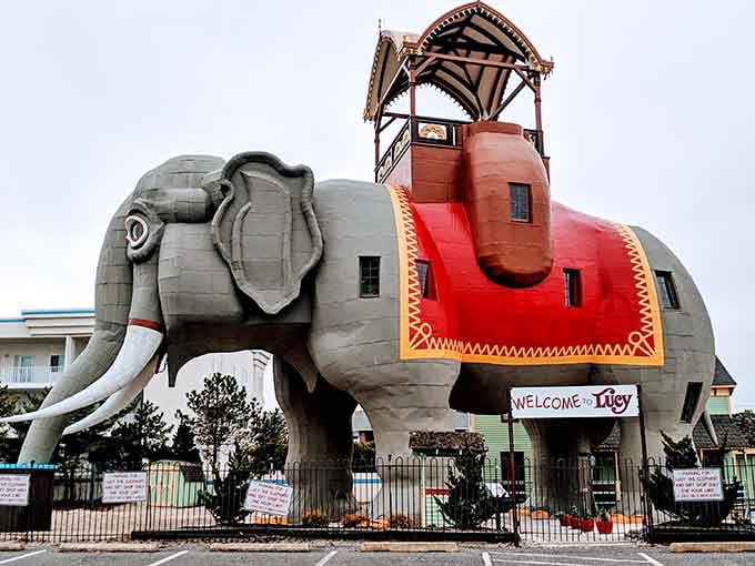 "Welcome to Lucy!" The world's largest elephant building invites visitors inside her colossal gray frame for a truly trunk-tastic experience.