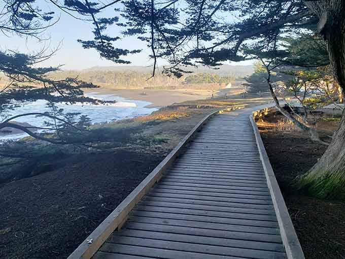 Morning light transforms the wooden path into a golden ribbon winding through wetlands toward the misty shore.