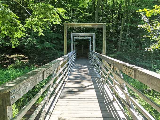 This wooden bridge frames the forest like a portal to somewhere magical and wonderfully peaceful.