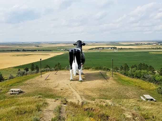 The world's largest Holstein cow offers panoramic prairie views that'll make you say "Holy cow!" in more ways than one.