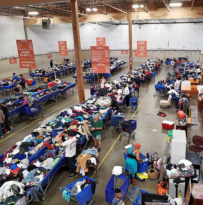 Rows of blue bins stretch endlessly like a bargain hunter's version of the Yellow Brick Road awaiting exploration.