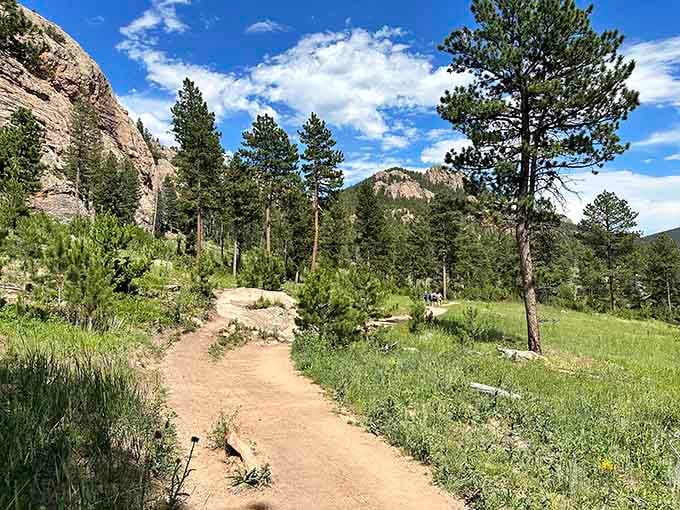 Rocky peaks tower above the forest like nature's own cathedral, with trails that wind through pure mountain serenity.