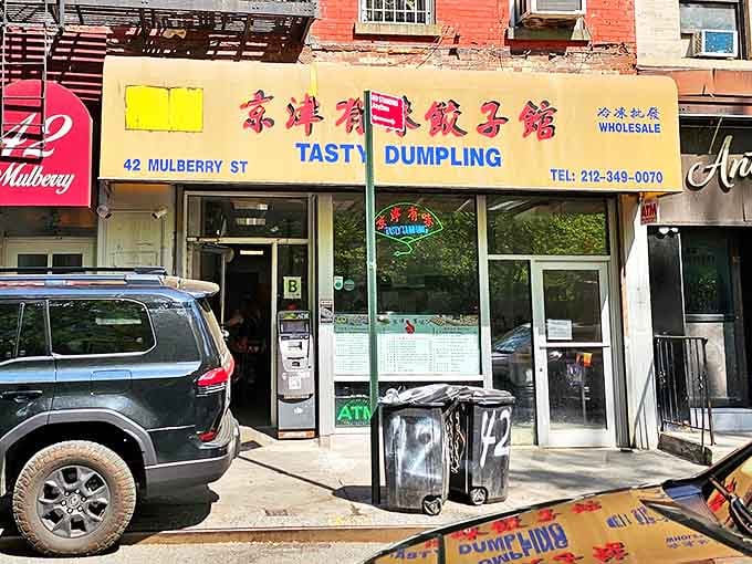Chinatown's hidden gem sits quietly on Mulberry Street, a no-frills storefront concealing dumpling mastery that would make your grandmother jealous.