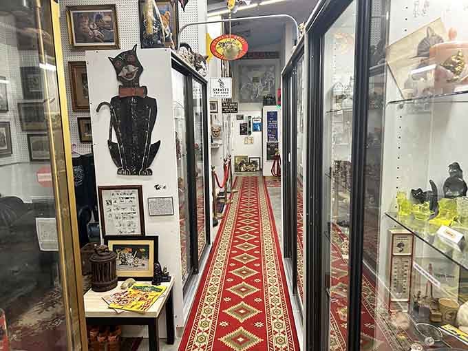 That red carpet treatment leads you through corridors packed with more cats than a viral YouTube compilation.