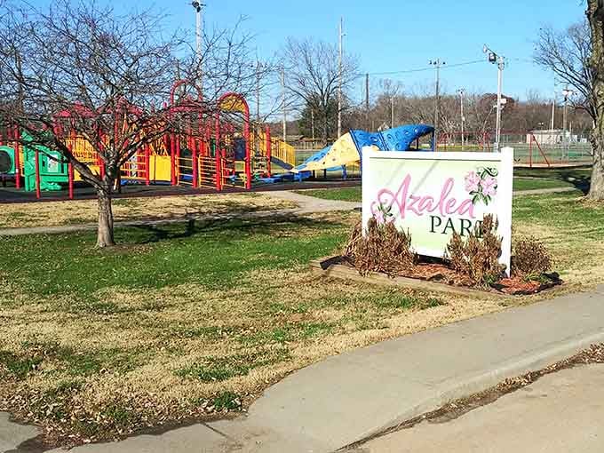 Azalea Park offers colorful playground equipment where grandkids can burn energy while you enjoy the luxury of bench-sitting in strategic shade.