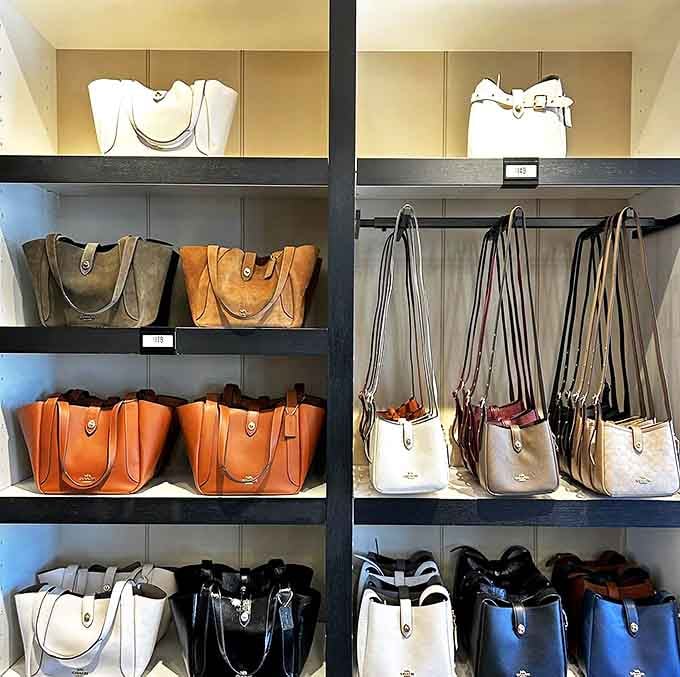 Designer handbags at outlet prices&mdash;the retail equivalent of finding a unicorn. These Coach treasures await new homes with savvy shoppers.
