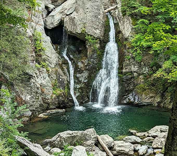 Sixty feet of pure Massachusetts showmanship, where water splits around ancient boulders like it's performing a carefully choreographed dance routine.