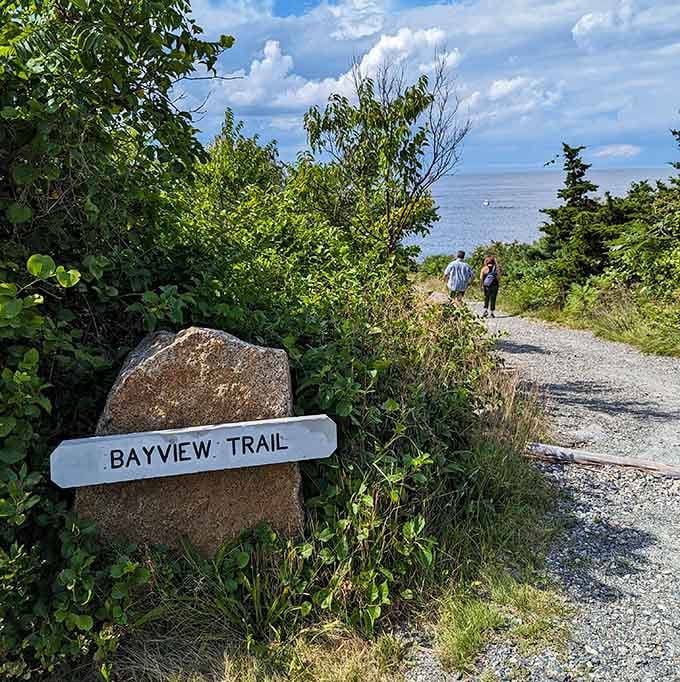 Follow the Bayview Trail and you'll be rewarded with ocean vistas that make everyday problems shrink faster than cotton in hot water.