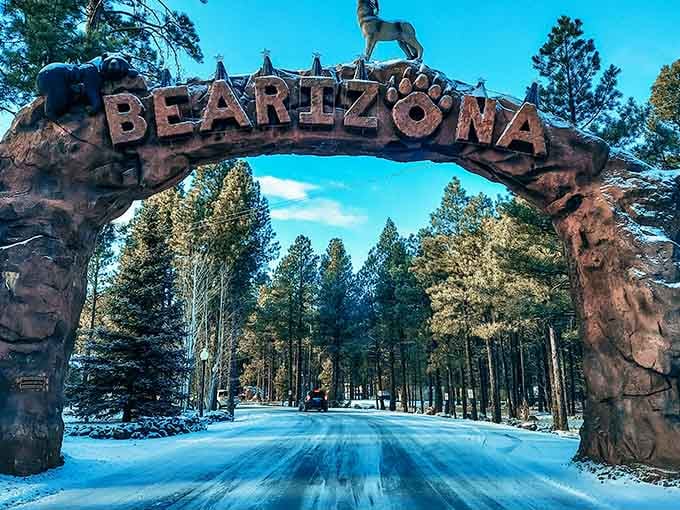 Winter transforms Bearizona into a scene straight from a nature documentary, minus the British narrator explaining everything.