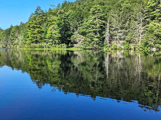Mirror, mirror on the water, who's the most peaceful park of all? Spoiler: it's this one.