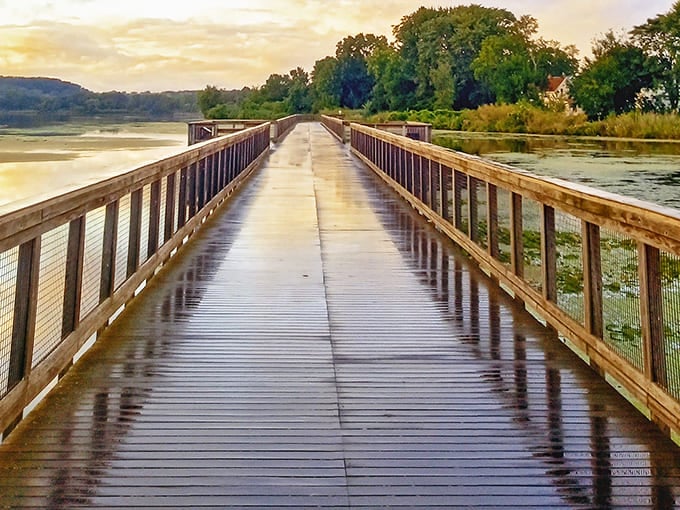 Not all paths lead to Rome, but this boardwalk journey promises something equally magnificent &ndash; tranquility on the water.