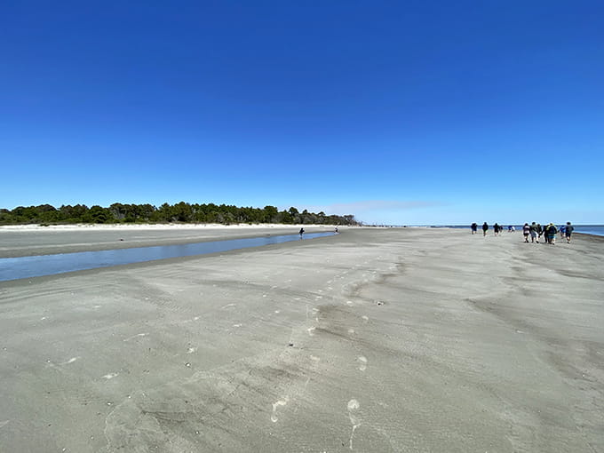 The shoreline stretches endlessly, inviting contemplation and the kind of peaceful wandering your soul craves.