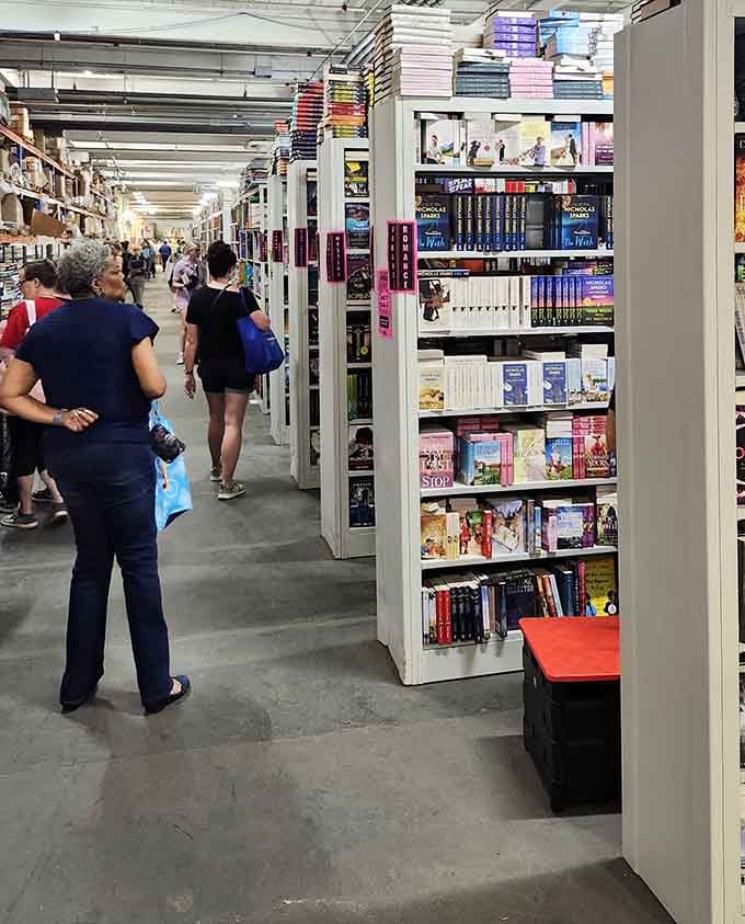 Fellow book hunters navigate the literary landscape, each on their own quest for the perfect read.