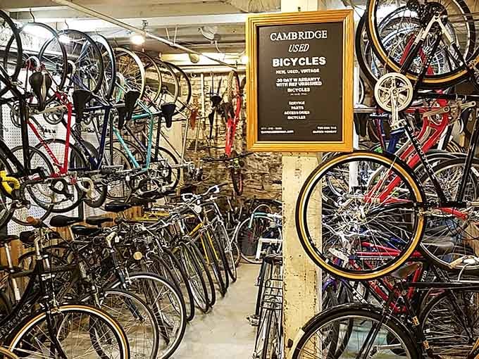 Rows of vintage bicycles waiting for their next adventure, like a two-wheeled time machine showroom.