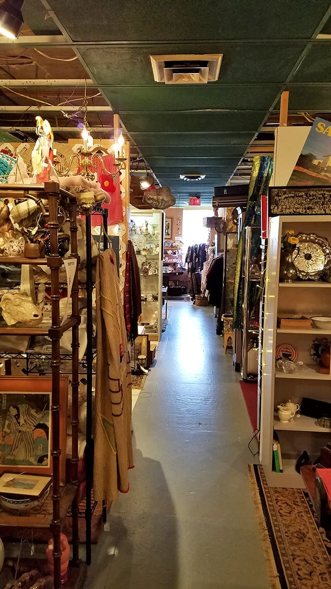 These aisles stretch on forever, like Narnia but with better lighting and vintage chandeliers overhead.