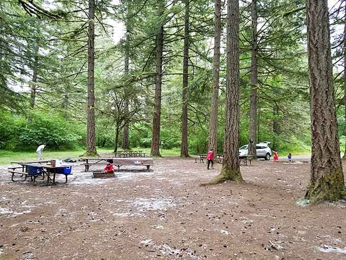 Picnic tables nestled among towering pines &ndash; where even a simple sandwich tastes like it deserves its own Food Network special.