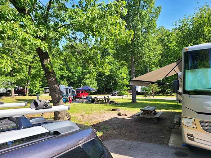 Camping nirvana nestled among towering trees. Your RV or tent becomes a five-star accommodation when surrounded by this much natural beauty.