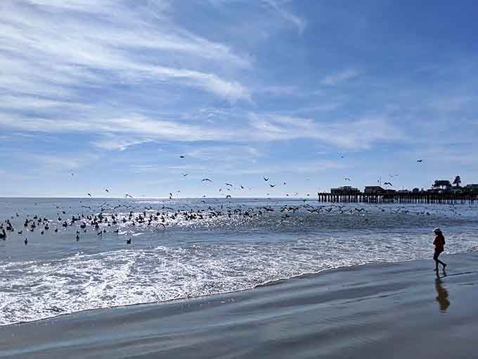 When the birds outnumber the beachgoers, you know you've found a peaceful slice of coastal paradise.