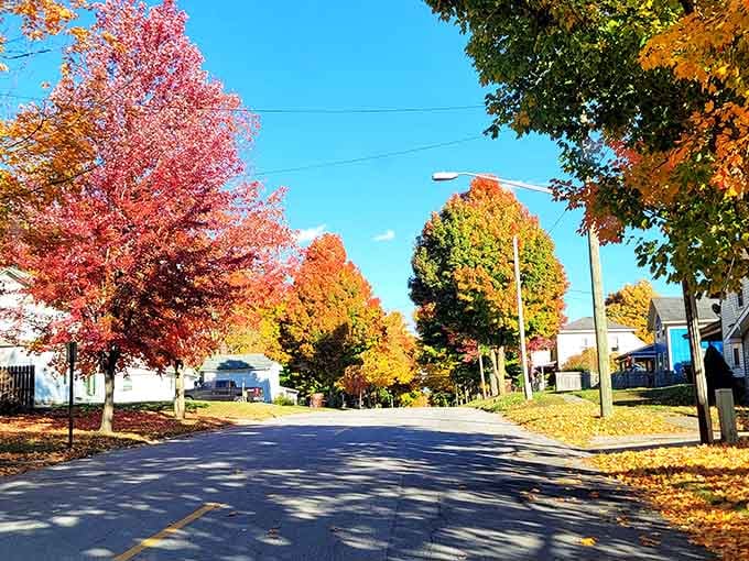 Autumn transforms ordinary neighborhoods into postcards you'd actually want to send, not just buy and forget.