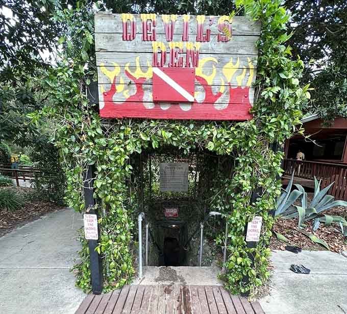 The entrance looks like something from a fantasy novel, complete with vines that say "adventure starts here, sensible shoes recommended."