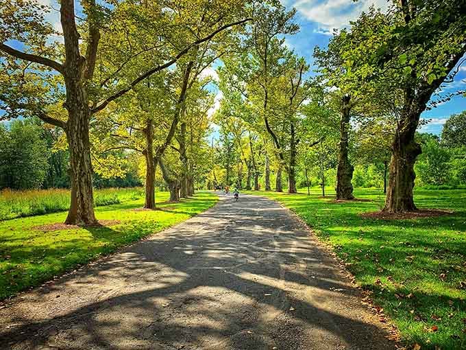 Tree-lined paths that make you feel like you're walking through a living postcard of pastoral perfection.