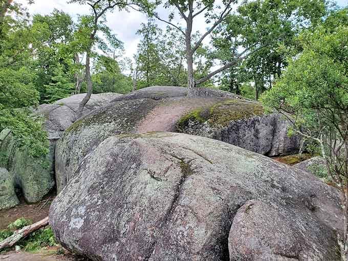 When rocks get this massive and rounded, calling them "boulders" feels like calling Mount Rushmore a "nice carving."