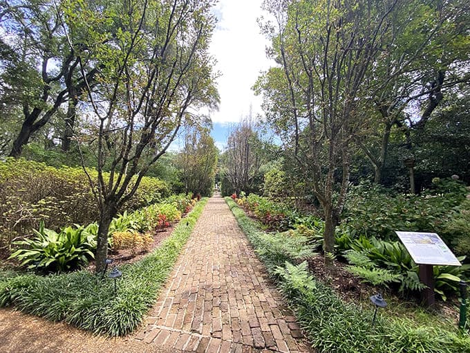 Brick pathways wind through greenery like nature's own yellow brick road minus the flying monkeys.